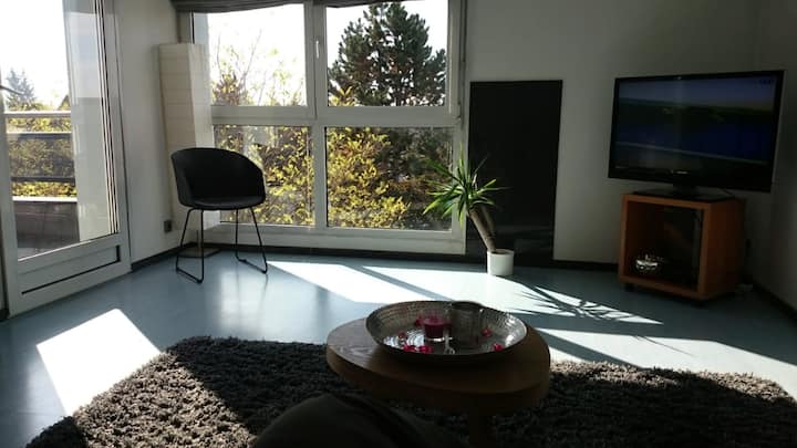 F/ch/d Train-airport-bus 5 Min Parking Free- 70m2 - Ibis Aéroport Bâle Mulhouse