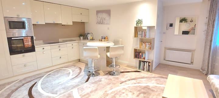 Large Flat By The River Balcony Chelsea Fulham - Fulham