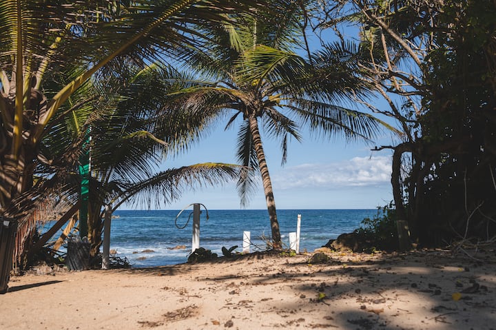 2br Mar Chiquita Oceanfront Apt W/ Pool - Manatí - Porto Rico