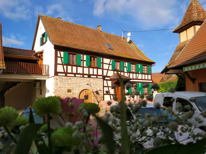 Maison Indépendante, 110m2, Proche Europapark - Alsace