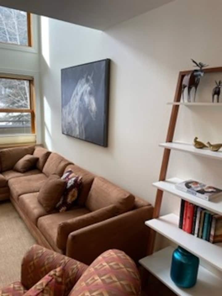 Incredible Telluride Town Condo Walk To Everything - Telluride, CO