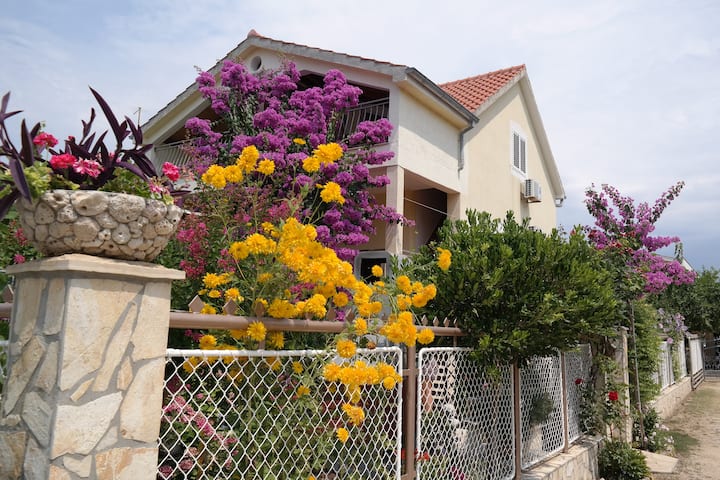 Apartment Biskup A-1, Ground Floor- Patio - Privlaka