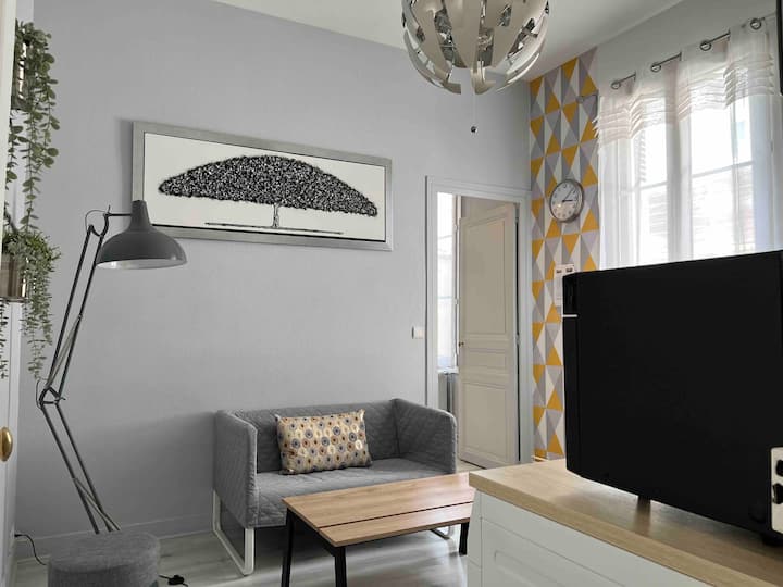 T2/30m2/ 2min à Pied De La Gare Et Du Tram/wifi - Tours
