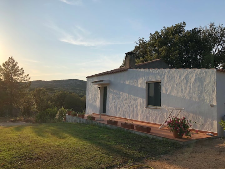 Casina Rita Detached 1 Bedroom Country House - Arzachena