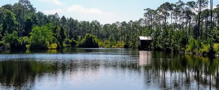 Pondhouse Paradise Only 1.3 Miles From Downtown - Apalachicola, FL