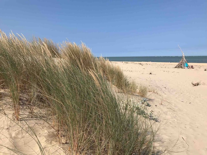 La P’tite Mauderie - Ronce-les-Bains