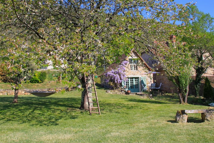 Mas De Lo Vigno - Lot