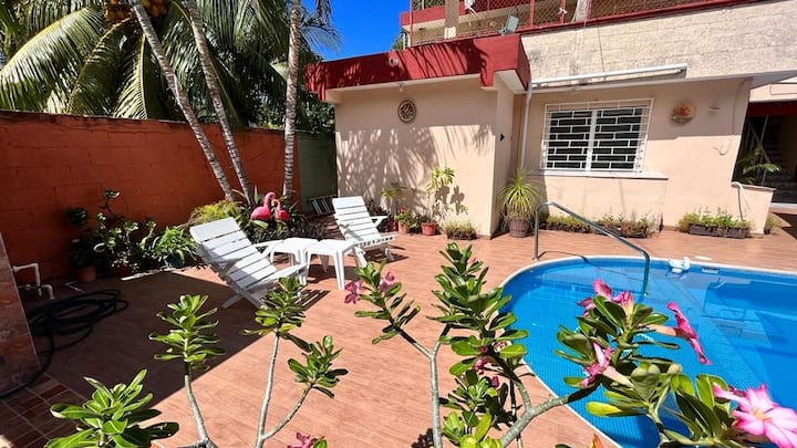 Las Mariposas Estudio 2 - Cozumel