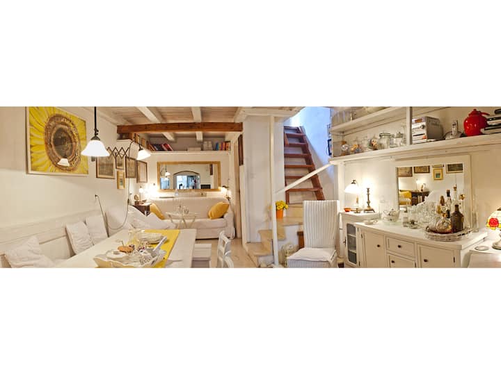 Charming Duplex - Split