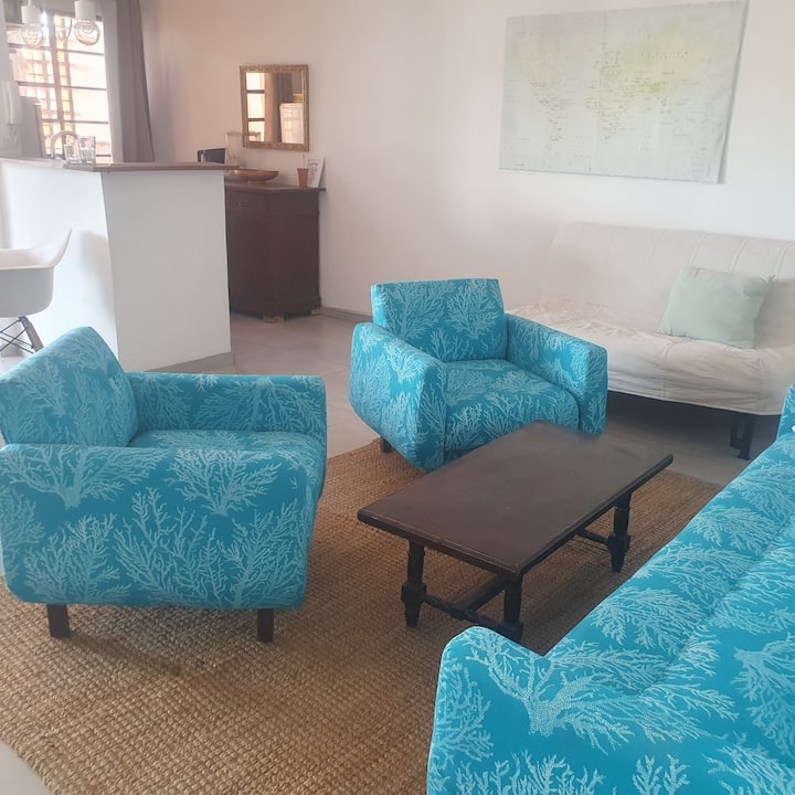 Downtown + Garage + Everything In Walking Distance - Asunción
