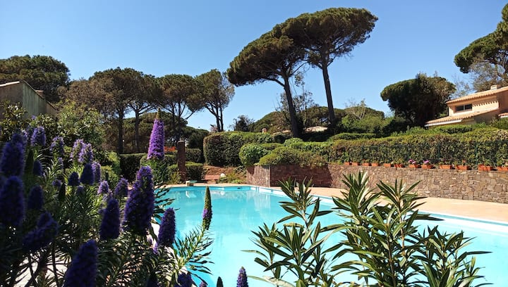 Appart Duplex Terrasse Piscine Port-grimaud - French Riviera