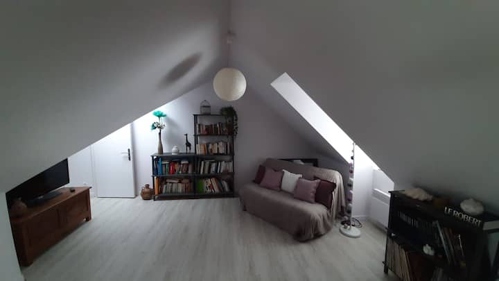 Chambre Et Séjour Centre-ville - Le Mans