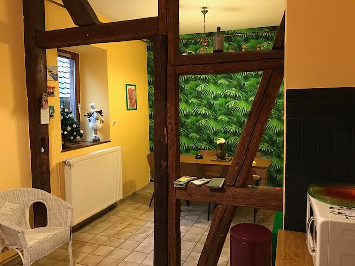 Sélestat Alsace - Chez Lulu - Dambach-la-ville