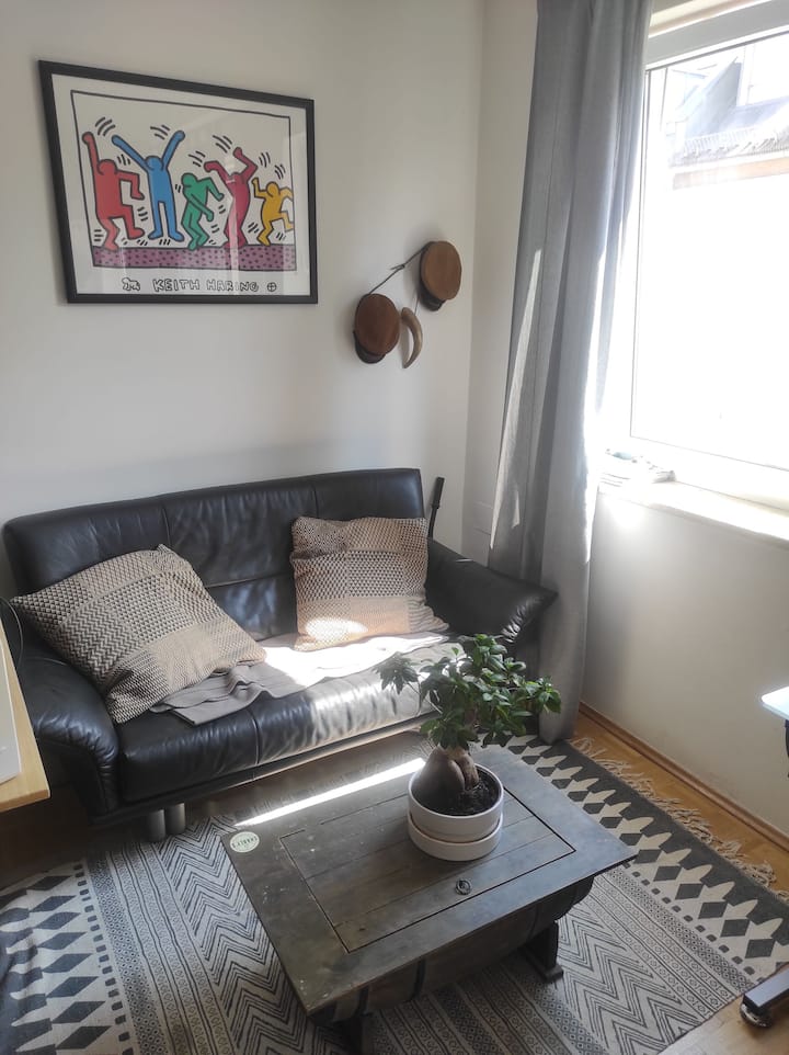 Einzimmerwohnung Mitten In München - Munich