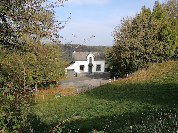 "Petite Thérèse", à Deux Pas Du Centre De Durbuy - Durbuy
