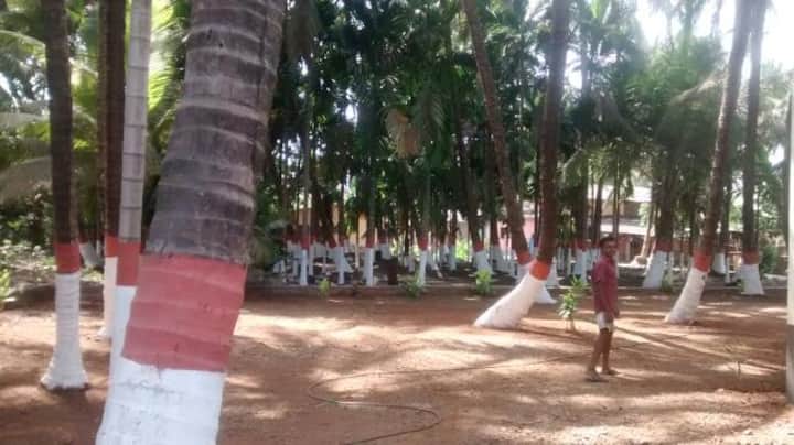 Palm Grove - Luxury Farm House - Alibag