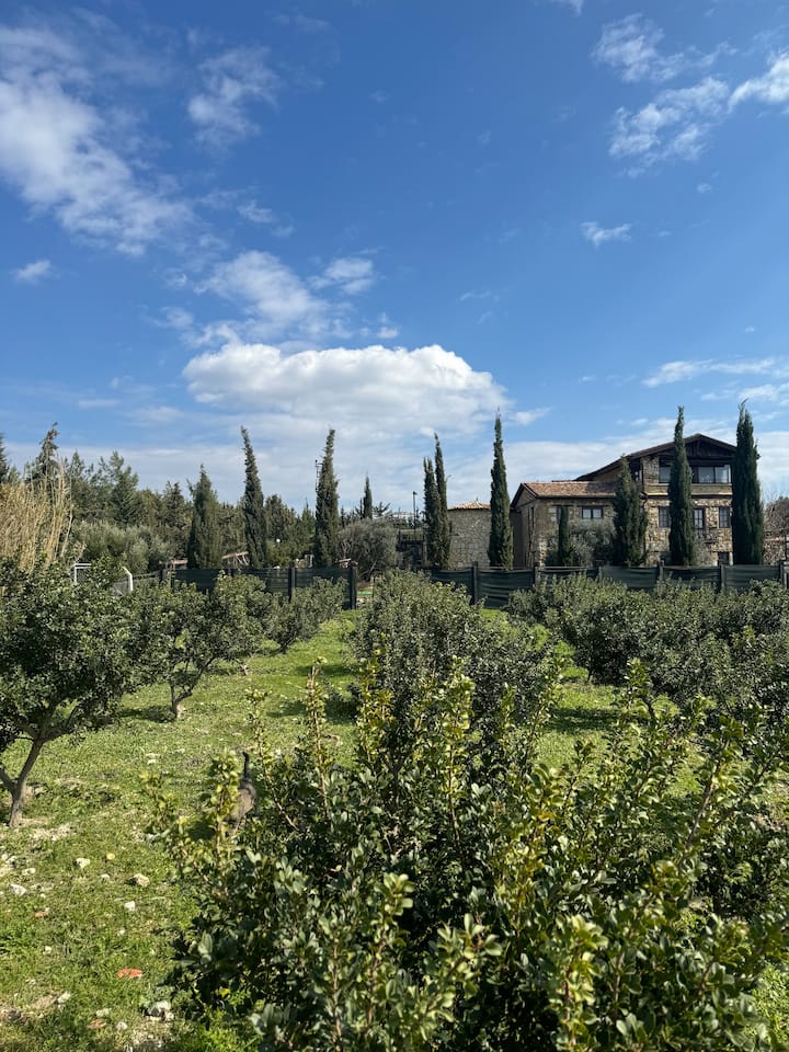 Marquem ÇEşme ÇIftlik Evi - Konaklama Ve Etkinlik - Çeşme