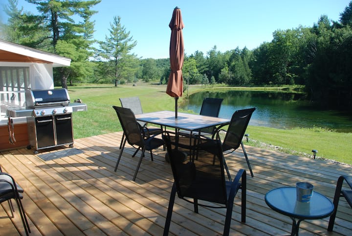 Whispering Pines Cottage On Mirror Pond - Honor, MI