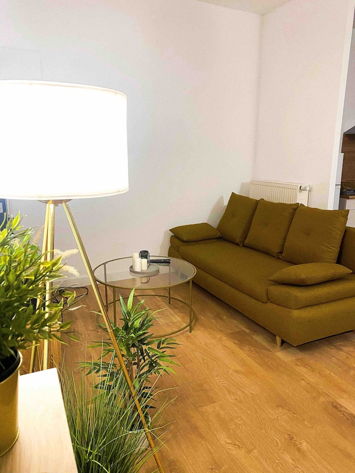 Appartement Cosy Avec Jardin Privatif - Barr