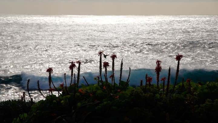 Espectacular Casa, A Orillas Del Mar,full Equipada - Los Vilos