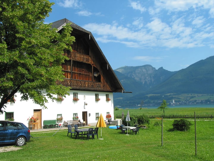 Ferienwohnung Mit Seeblick In Toplage - Strobl