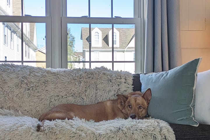 Family & Dog Friendly Townhouse With Fenced Yard - North Beach, MD