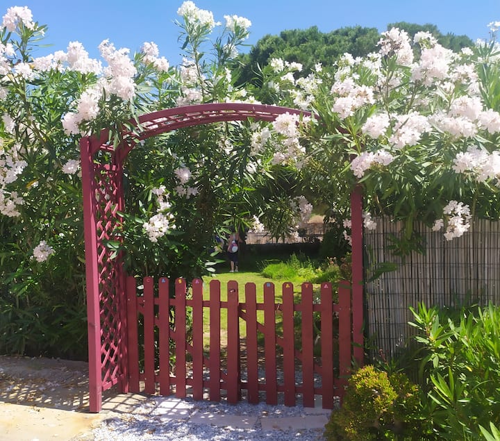Maison Et Jardin D'agrément Clos  50 M De La Plage - Sagone