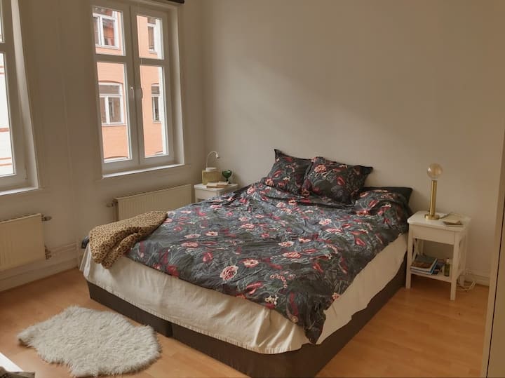 Huge 5 Room Turn-of-the-century Apartment - Malmö