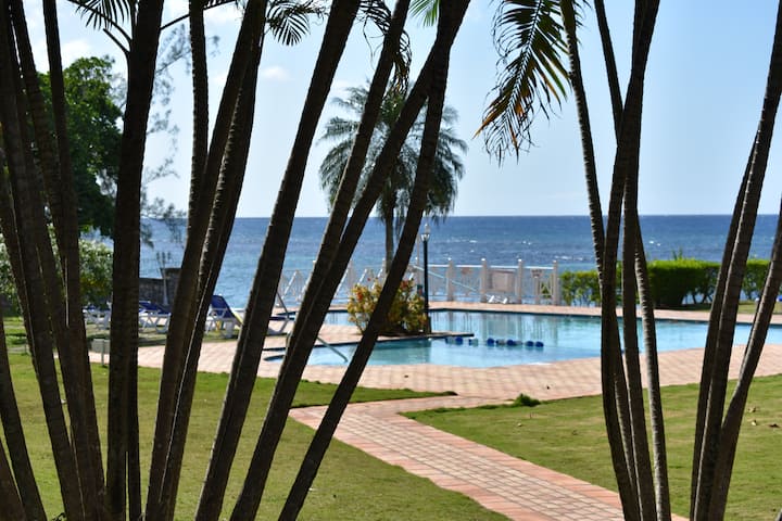 Luxury 4 Bedroom Seaside Condo - Direct Seaview - 오쵸 리오스