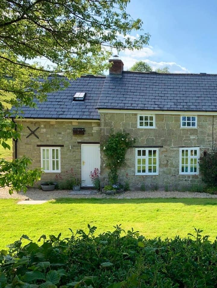 Little Coombe - Shaftesbury