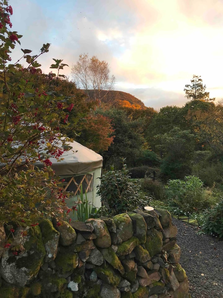 Garden Yurt In A Hidden Glen: Relax And Reconnect - Ayrshire