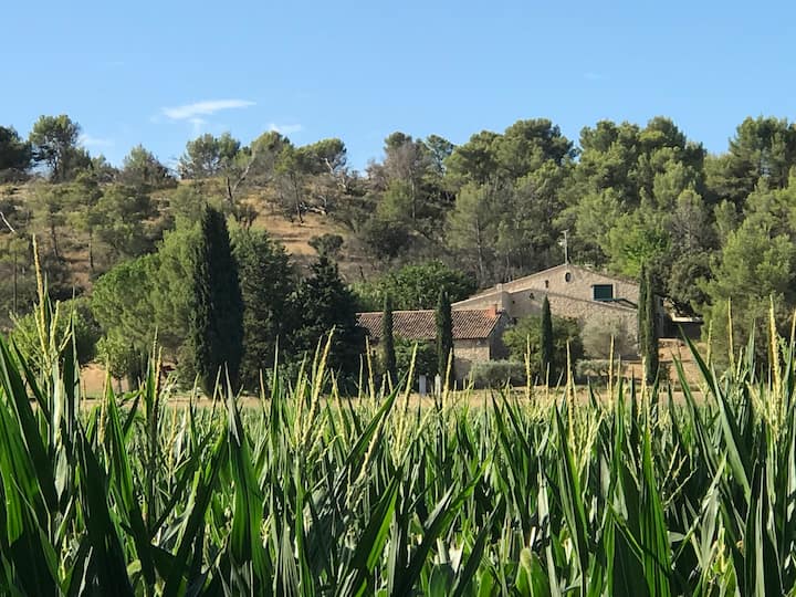 Mas En Provence  En Pleine Nature à Saint-cannat - Aix-en-Provence