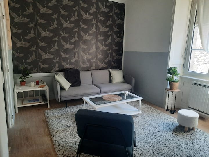 Appartement Centre Historique. - Dinan