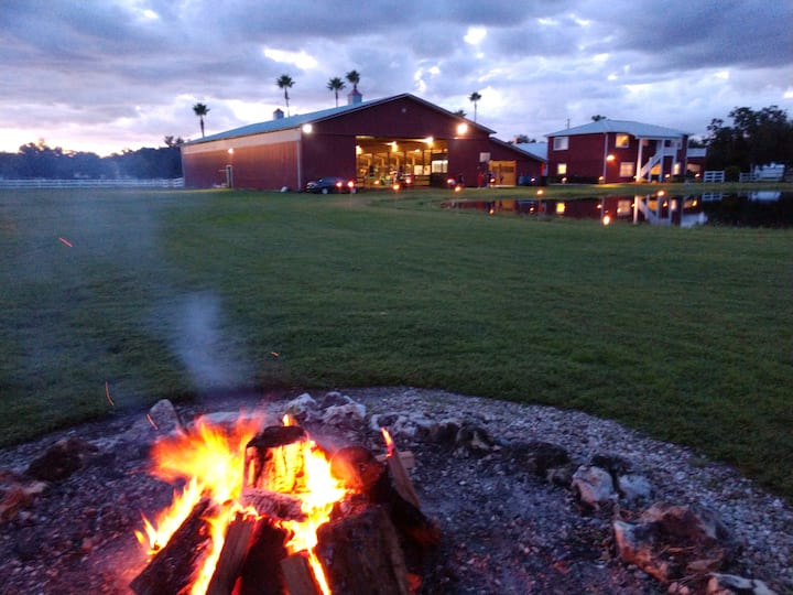 Hidden Gem/farm Suite In Heart Of Westchase! - Safety Harbor, FL