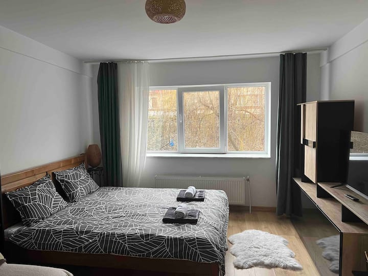 Riverside Central Studio • Workspace, Garden - Cluj-Napoca