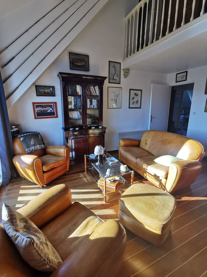 Duplex Spacieux Lumineux - Trouville-sur-Mer