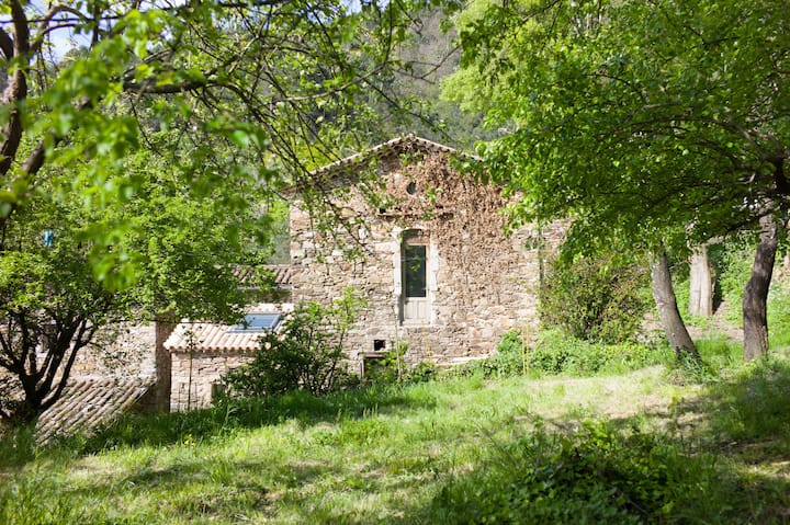 Gîte Nature, Cevennes, Gard : "Sous Les Pommes" - Saint-Jean-du-Gard