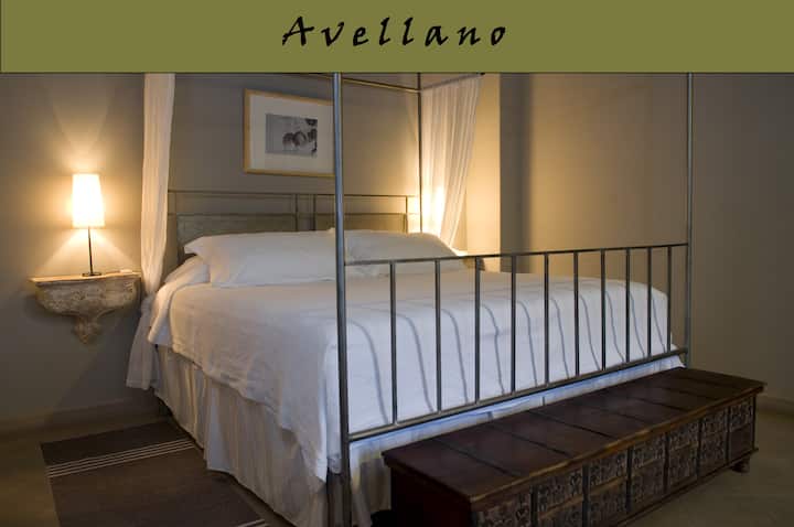 Master Suite Avellano - San Miguel de Allende