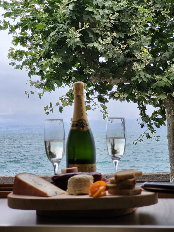 Bord De Lac/plage/vue Lac/leman/lac  Geneva/paddle - Lake Geneva