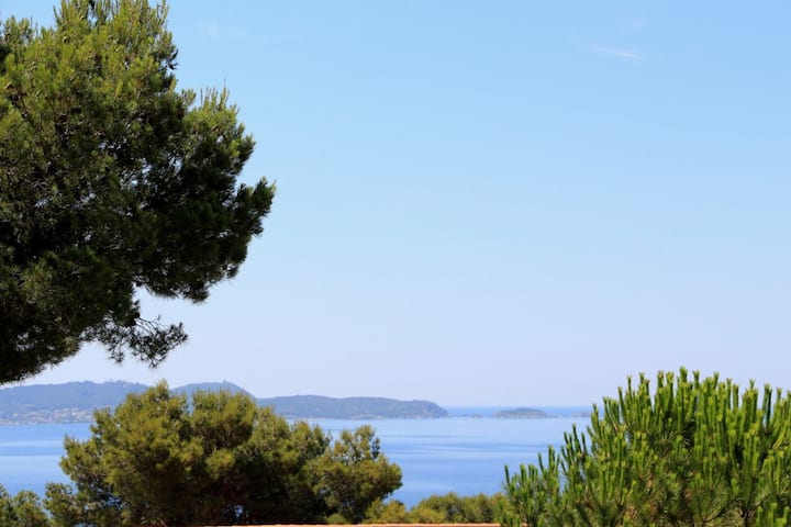 Clim | Vue Mer & Accès Plage 400m Dans Parc 3000m2 - Giens
