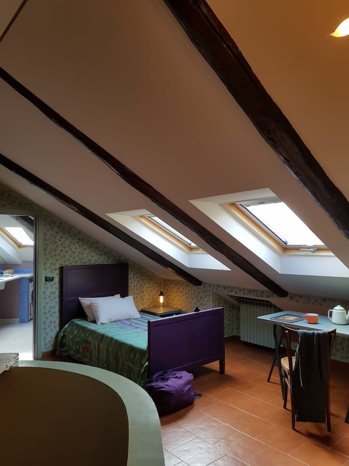 Mansarda Privata Dante - Turin