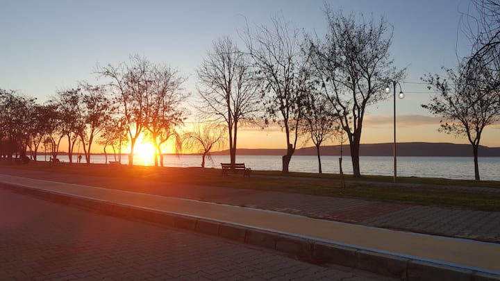 Asya Troya Pansiyon Bahçe Katı Stüdyo Klima Wi-fi - Çanakkale