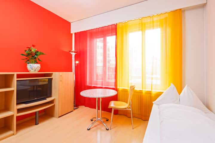 Lion's Residence Double Room - Lucerne