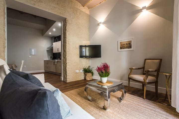Catedral Luxury Apartment 2 Bedrooms - Séville