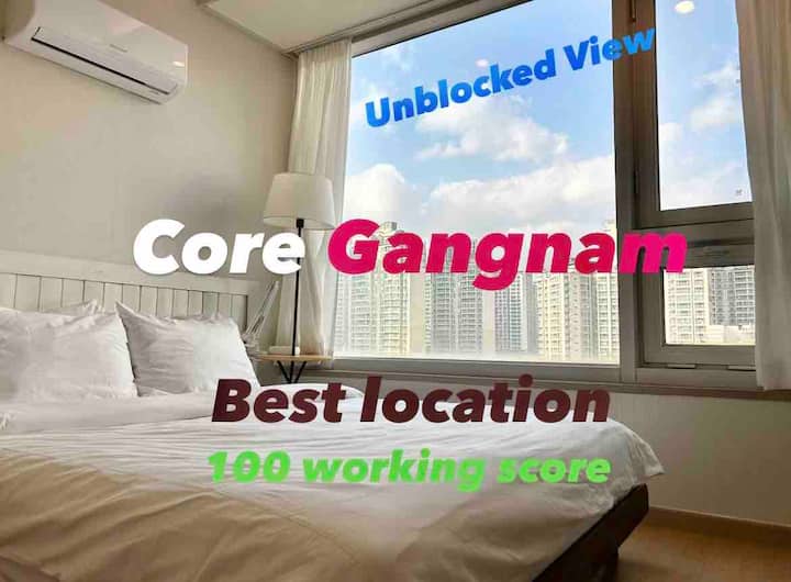 [Gangnam Stn. 300m]unblockedview,walking Score100 - 首爾
