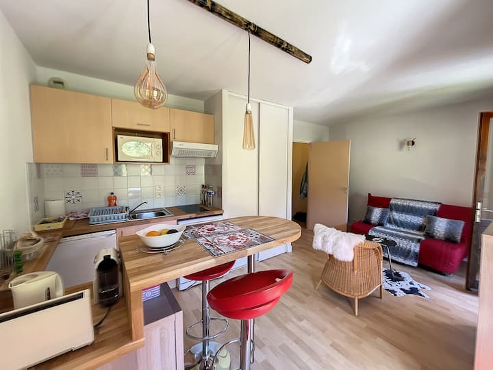 Studio 2614 Vue Sur Les Pistes De Ski - Guzet-Neige