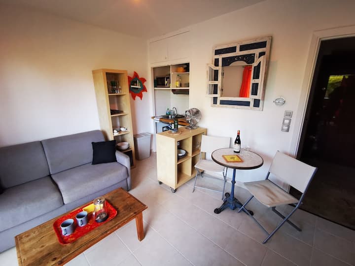 Studio Climatisé,piscine,parc Fleuri - Antibes