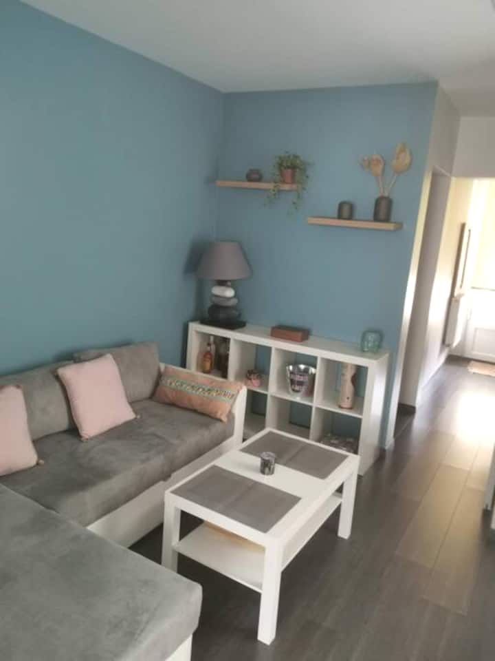 Appartement  Calme  Proche Centre Thermal , Artem - Nancy