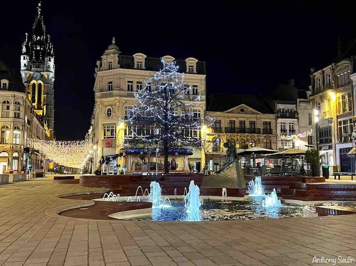 Le Cocon Du Nil Jolie Studio - Douai