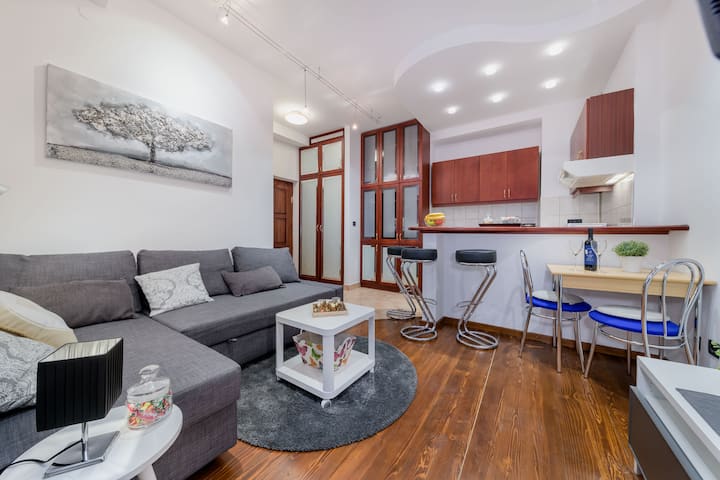 Tamaris Downtown In City Centar, Free Wifi - Zagabria